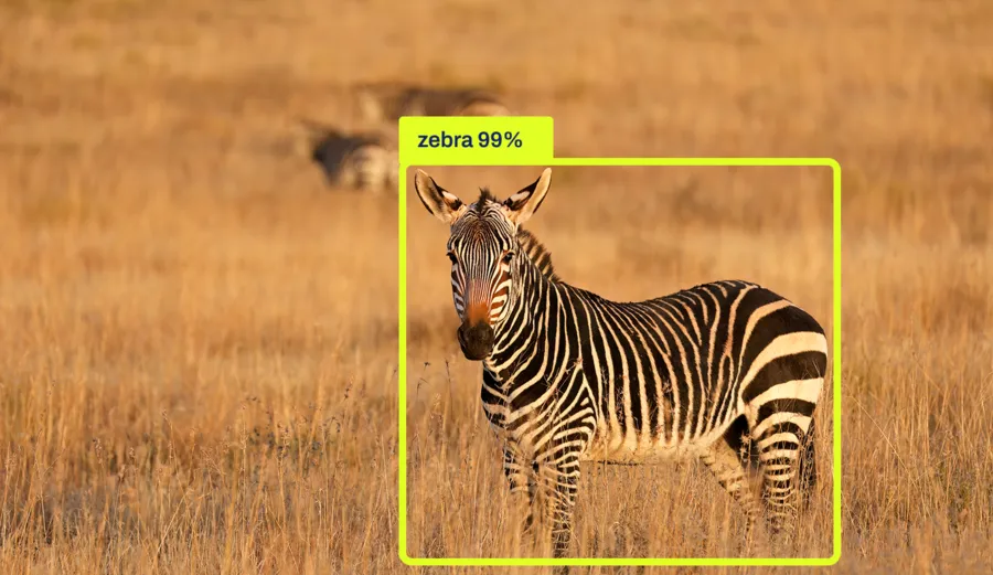 What Is Human In The Loop Machine Learning Hitl
